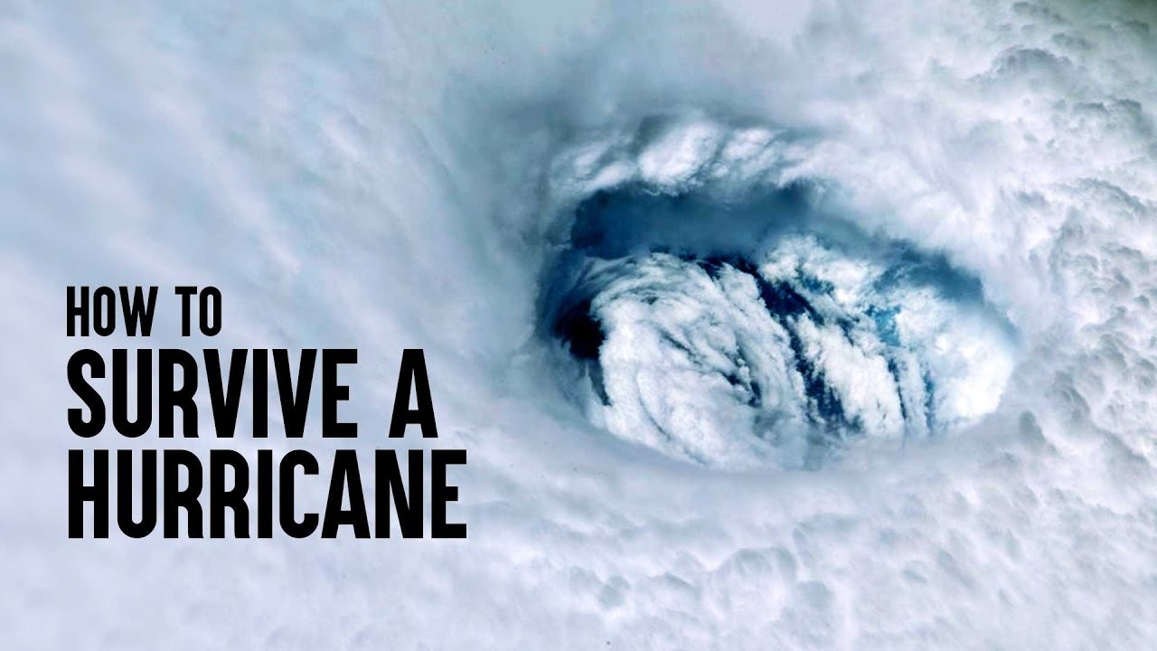 Survive a Hurricane: Simple Steps to Keep You Safe – Homesteading, Self ...