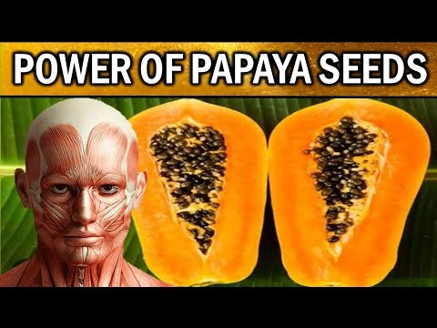 Unbelievable Health Benefits of Eating Papaya Seeds – Homesteading, Self-Reliance and Healthy ...