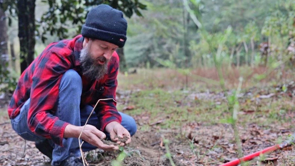 “Chicken Manure: Unlock the Power of ” – Homesteading, Self-Reliance ...