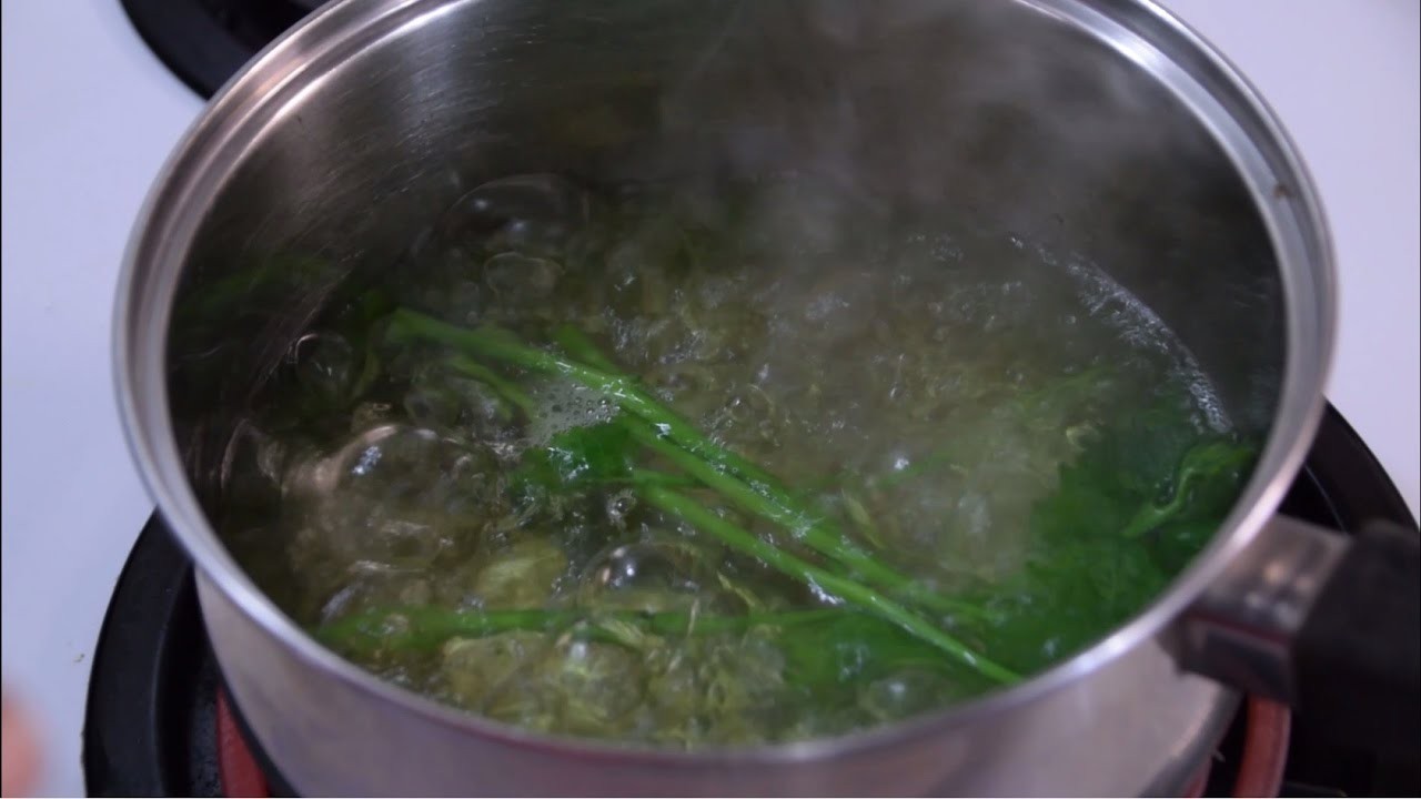 Harvest & Cook Wild Garlic Mustard – Delicious Recipes Inside ...