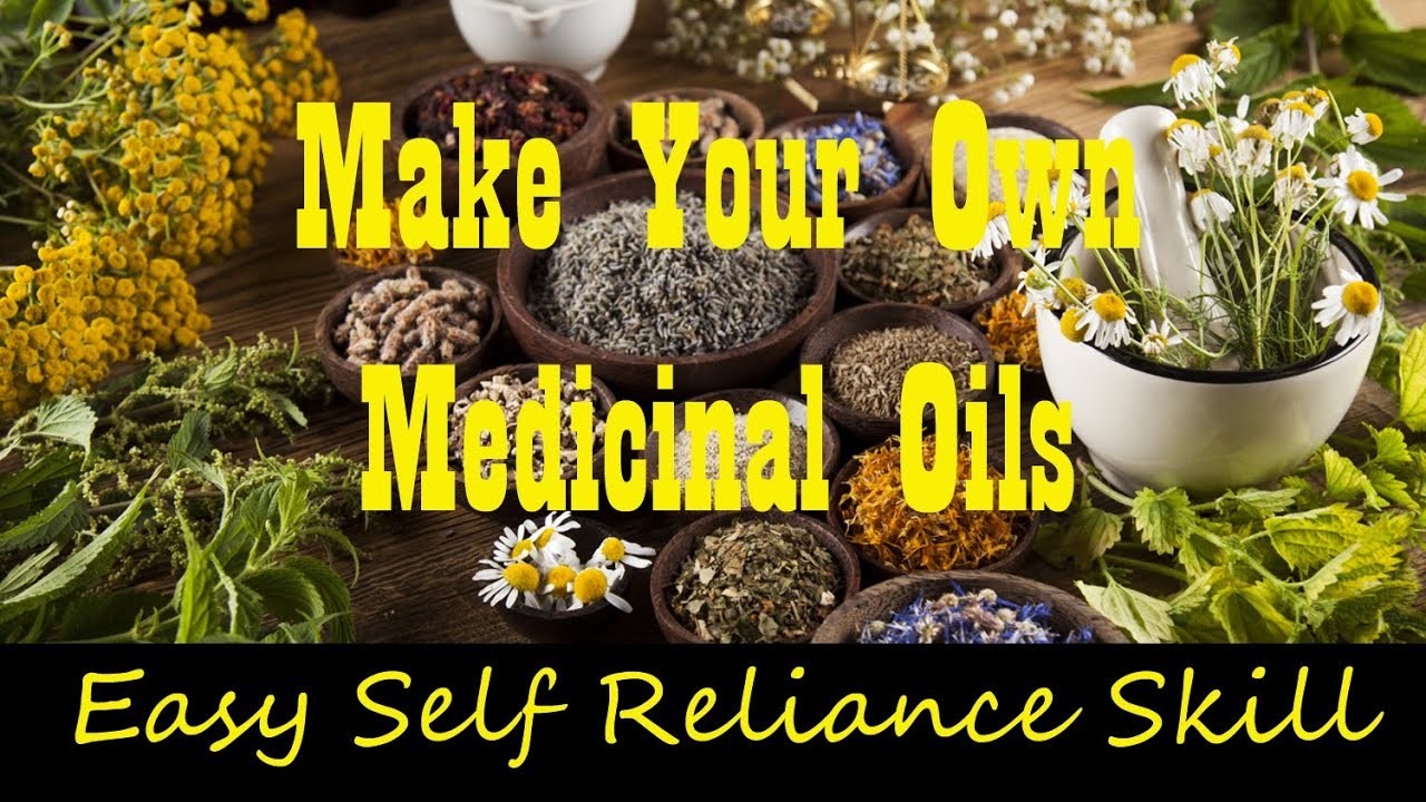 Make Your Own Medicinal Oil: Easy Self-Reliance Skill! – Homesteading ...