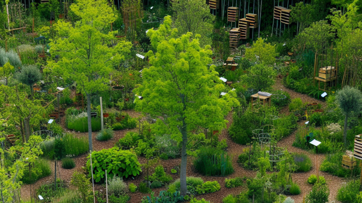 Homesteading, Self-Reliance and Healthy Living Daily