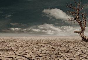 What If Your Tap Runs Dry Tomorrow? Learn to Create Water from Thin Air ...