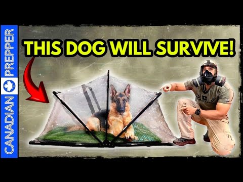 Protect Your Pet: The Ultimate Gas Mask for Any Emergency ...