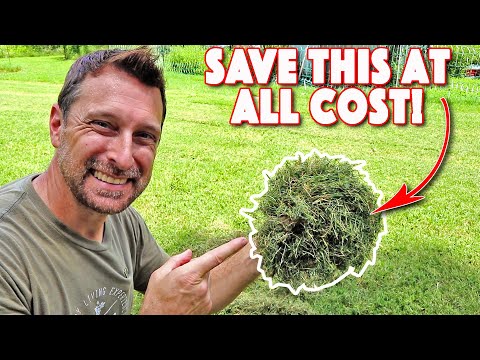 Unlock Huge Savings: Master This Homesteading Trick Today ...